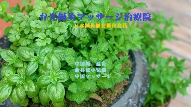 dfhu | 鍼灸院 マッサージ 小児鍼 大阪